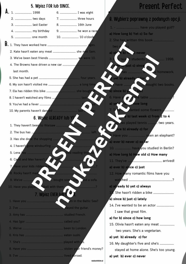 Present Perfect – 3 pliki